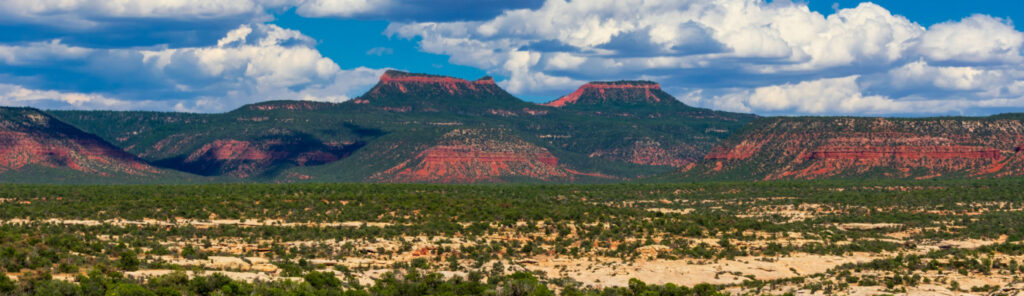 Utah navajo health system – AUCH